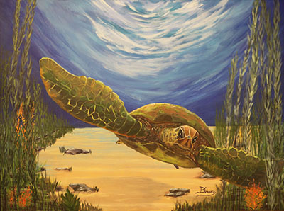 Kennedy-Sea Turtle – The Berkeley Arts Council