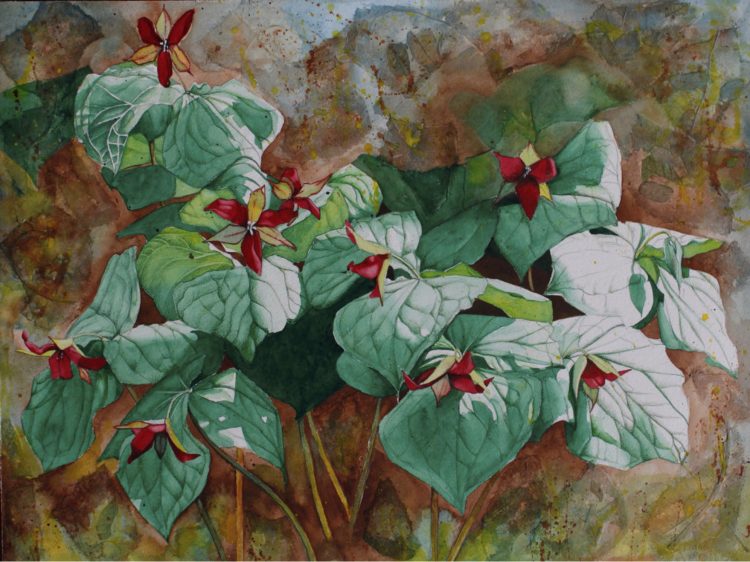 Art and Earth Exhibit Awards – The Berkeley Arts Council