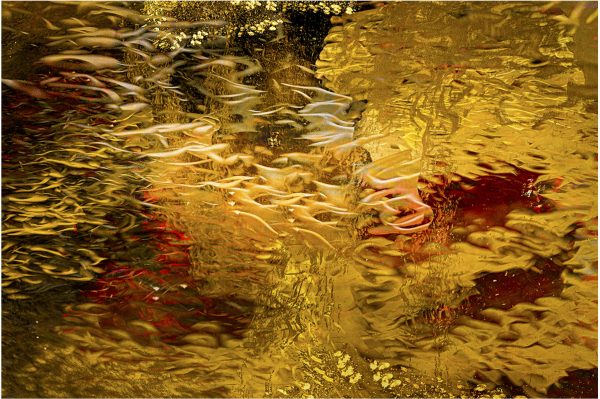 Art and Earth Exhibit Awards – The Berkeley Arts Council